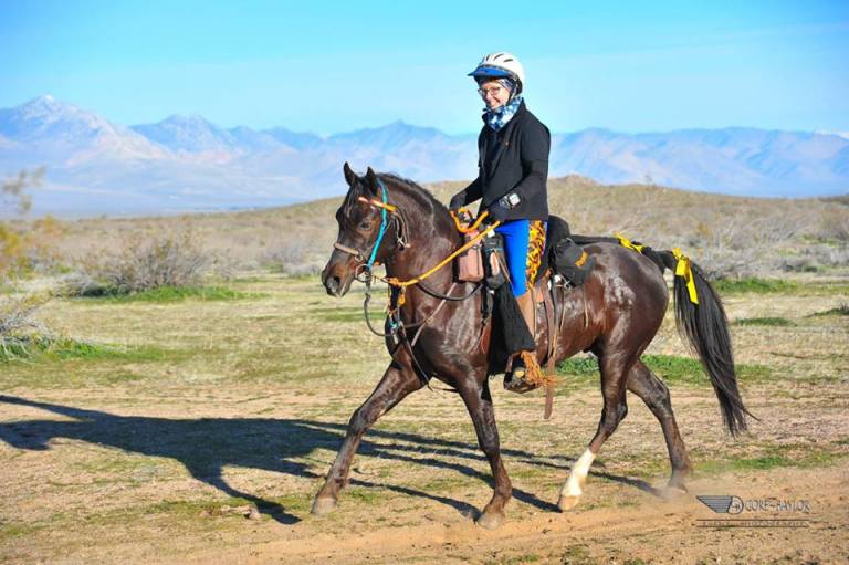 20 Mule Team 100 2017: Endurance, All Ways, All Days | Redheaded Endurance