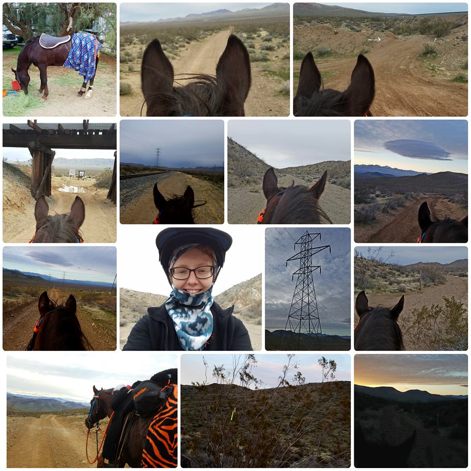 20 Mule Team 100 2017: Endurance, All Ways, All Days | Redheaded Endurance