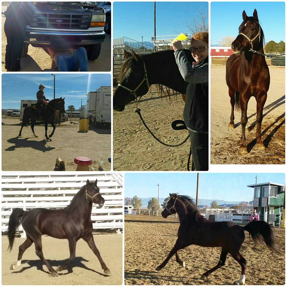 20 Mule Team 100 2017: Endurance, All Ways, All Days | Redheaded Endurance