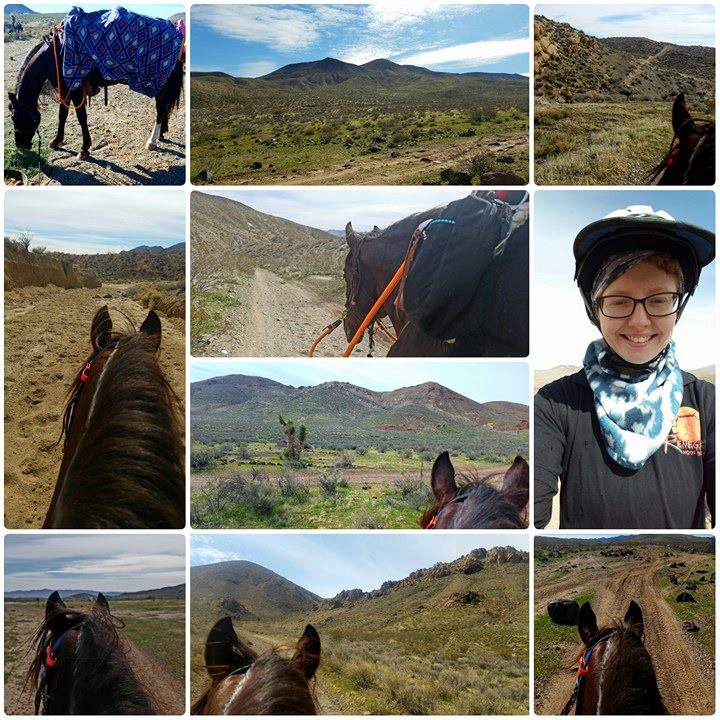 20 Mule Team 100 2017: Endurance, All Ways, All Days | Redheaded Endurance