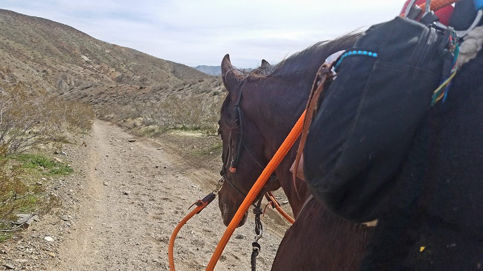 20 Mule Team 100 2017: Endurance, All Ways, All Days | Redheaded Endurance