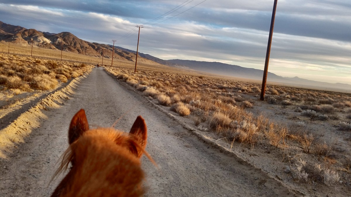 Death Valley XP ’17: Lessons from the Trail | Redheaded Endurance